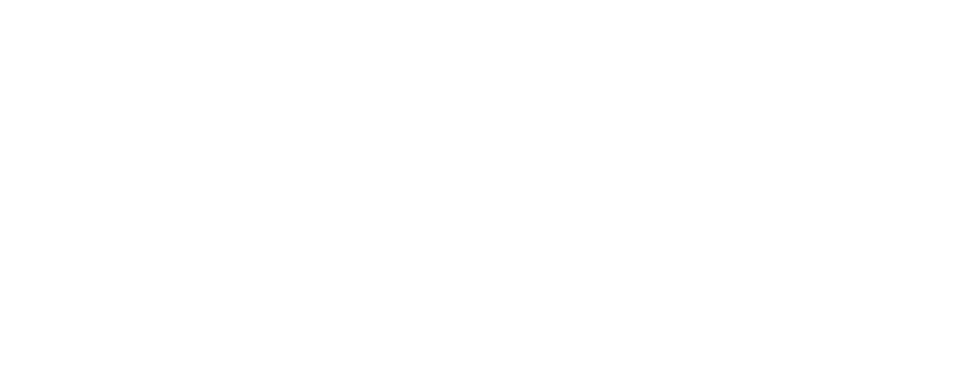 Beyond BookSmart: Executive Function Coaching & ADHD Support